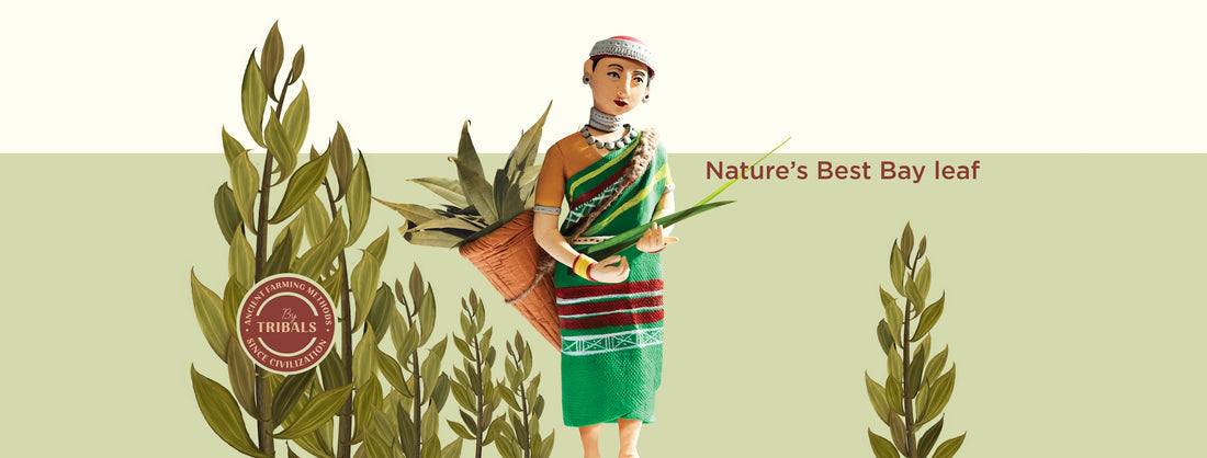 ADI – ADI - nature's best for a few