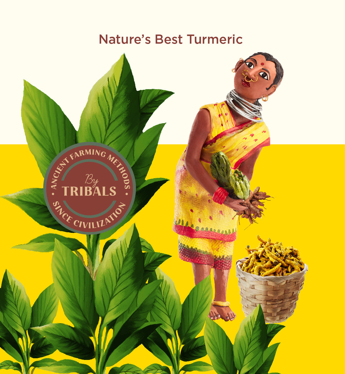 ADI – ADI - nature's best for a few